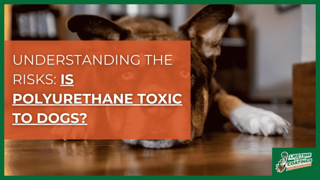 Understanding the Risks: Is Polyurethane Toxic to Dogs?